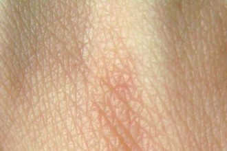 TransGuys.com - The Internet's Magazine for Trans Men